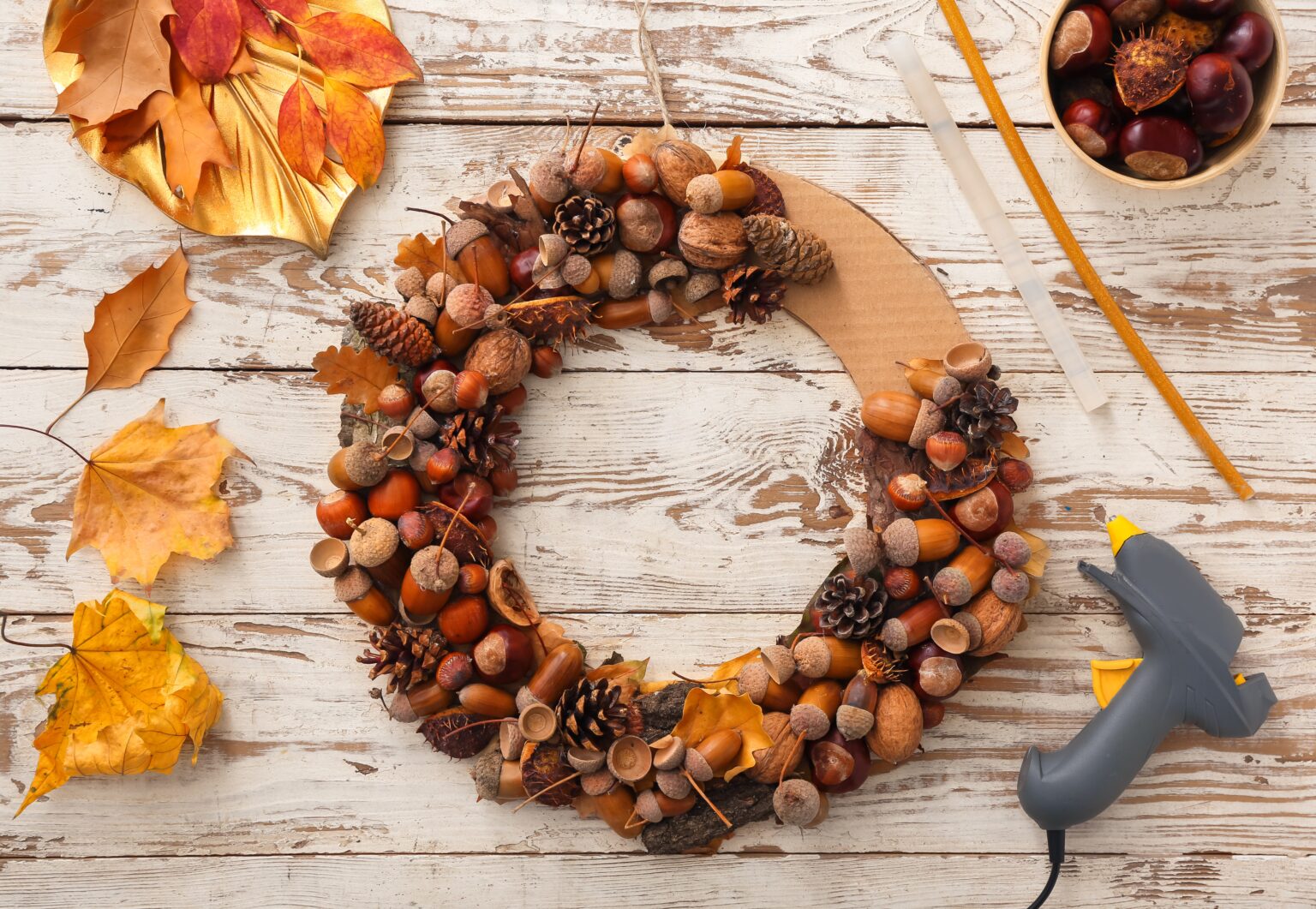 How to Collect & Prepare Pine Cones For Crafting: Why You HAVE to Bake ...
