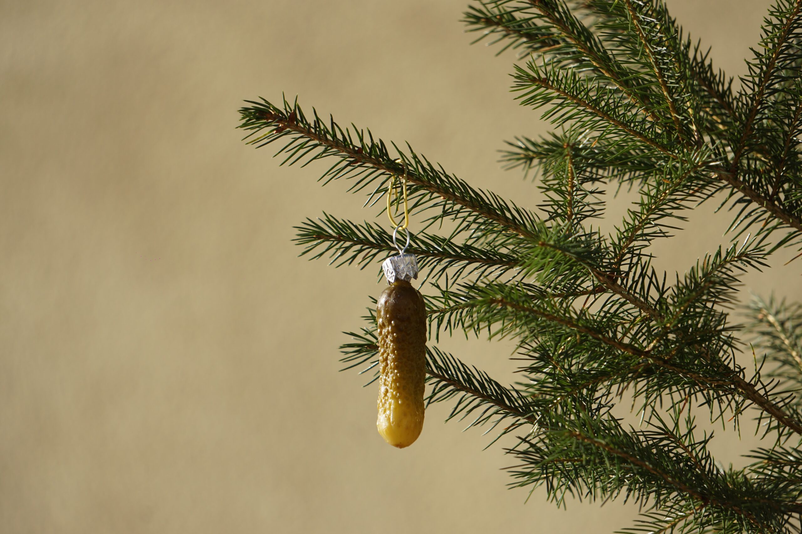 The Christmas Pickle: the Fun German Tradition No One in Germany Has ...