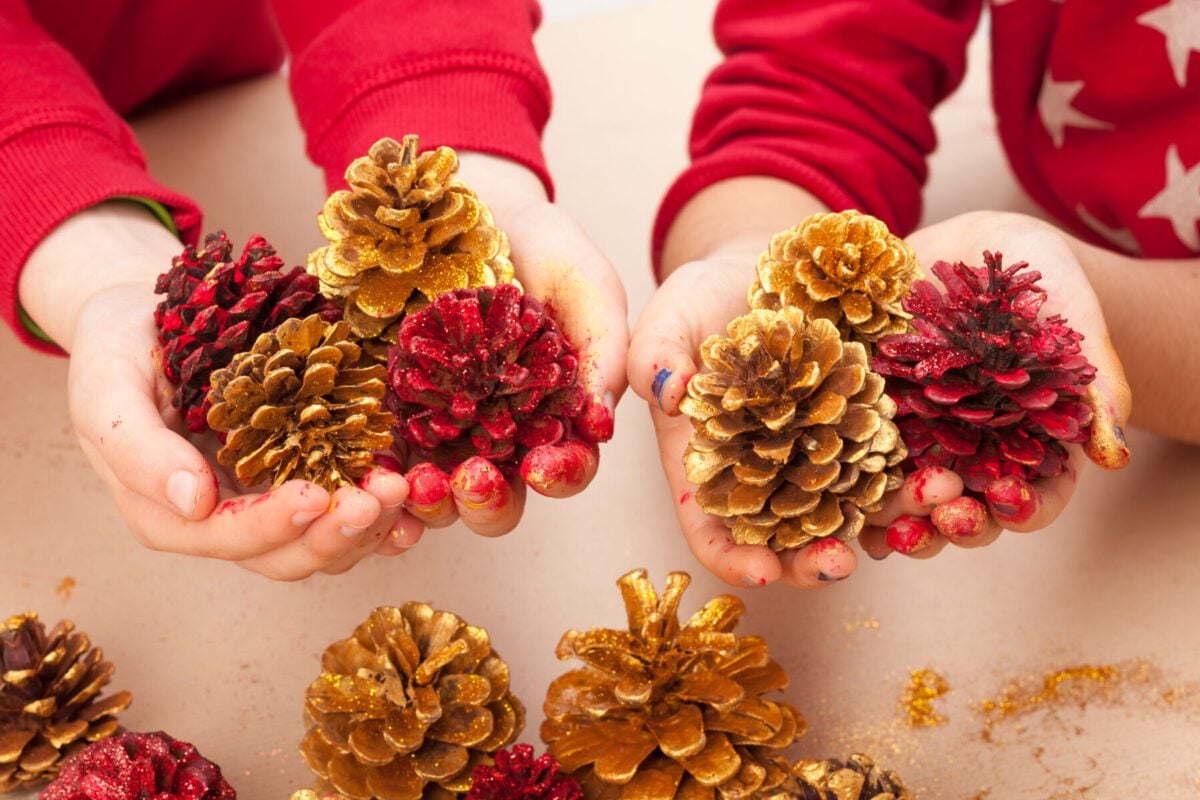 How to Collect & Prepare Pine Cones For Crafting: Why You HAVE to Bake ...