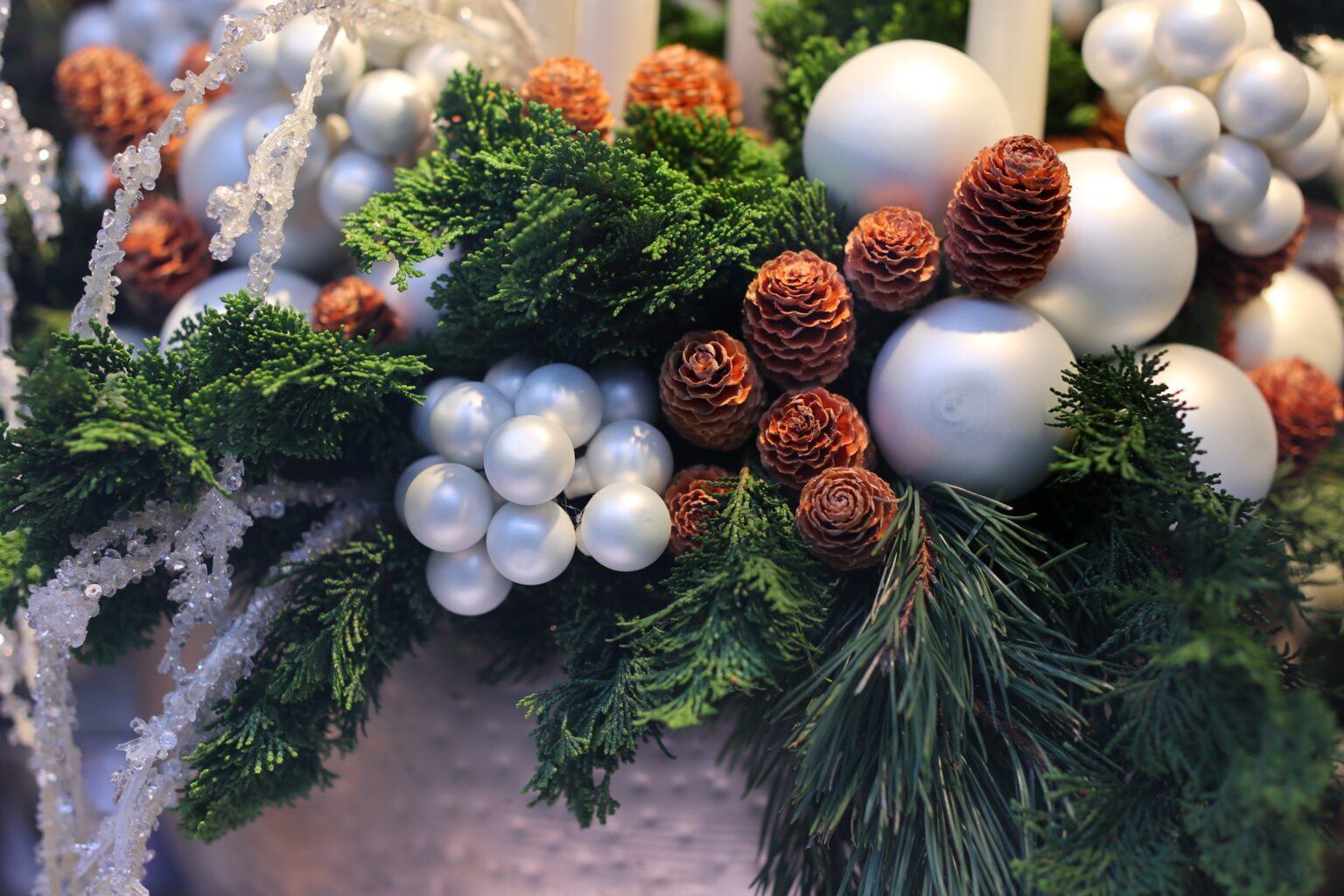 How to Collect & Prepare Pine Cones For Crafting: Why You HAVE to Bake ...