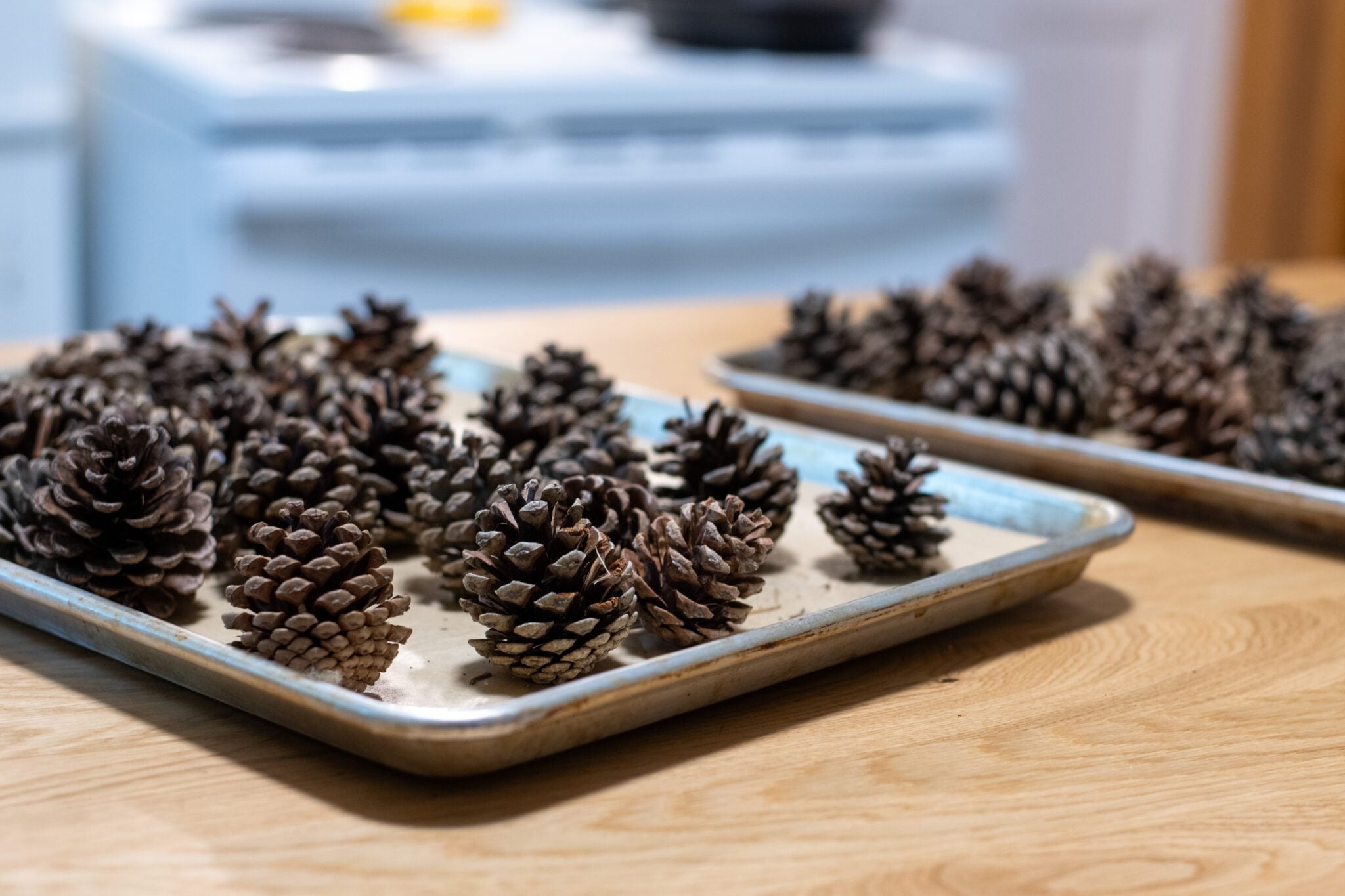 How To Collect Prepare Pine Cones For Crafting Why You Have To Bake