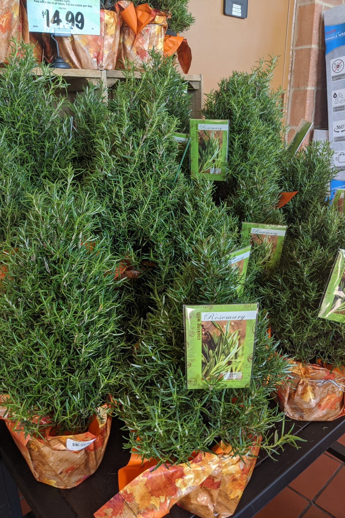 A Rosemary Topiary: The Perfect Mini Christmas Tree Alternative ...