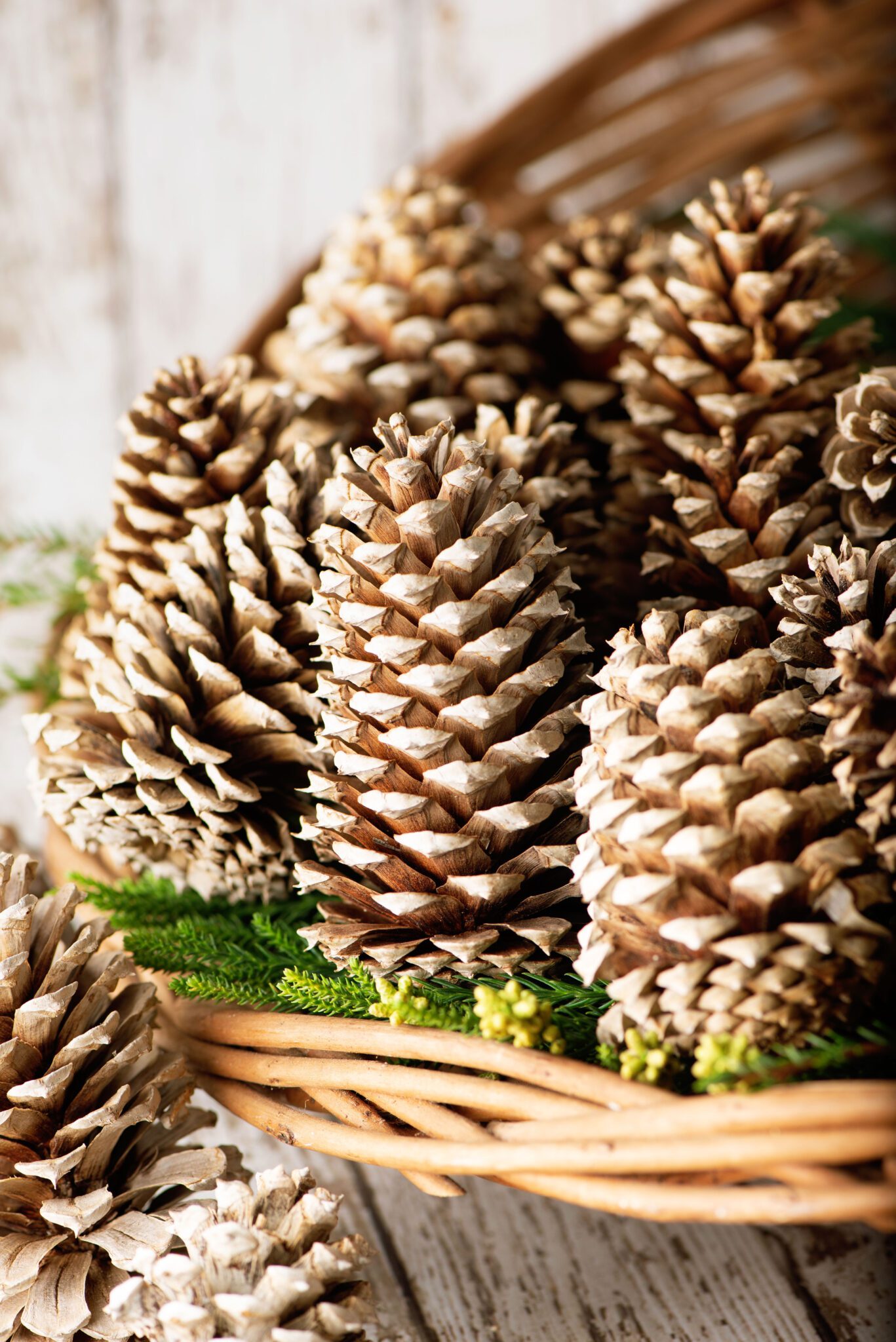 How to Bleach Pine Cones for Unique Holiday Decor - Holiday Magic Hub