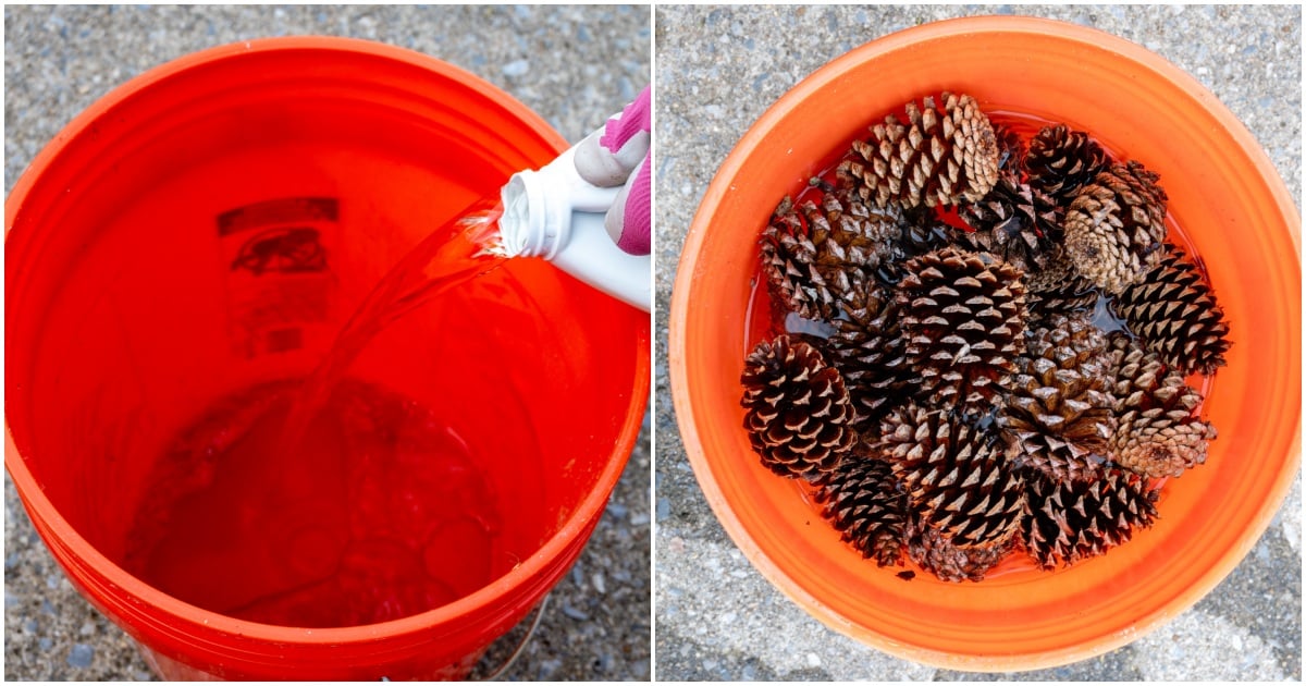 How to Bleach Pine Cones for Unique Holiday Decor - Holiday Magic Hub